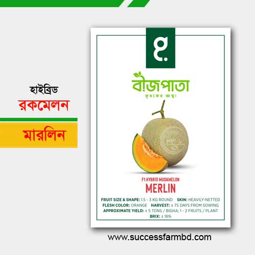 মার্লিন হাইব্রিড রকমেলন Merlin hybrid rockmelon (১০ গ্রাম) - Success Farm