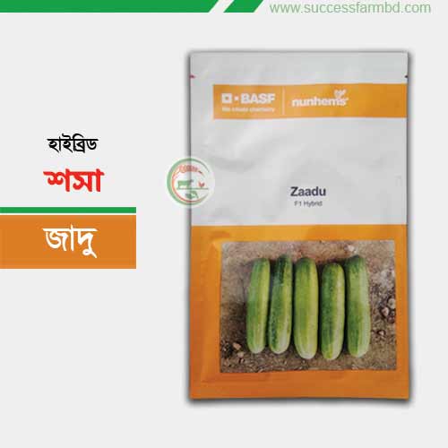 হাইব্রিড শসা জাদু Hybrid cucumber Zaadu (500 Seed) - Success Farm